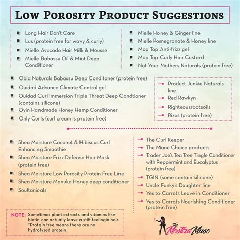 Home The Mestiza Muse Low Porosity Hair Products Hair Porosity