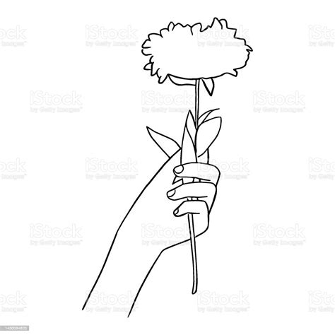 장식 낙서 스타일에 대한 손으로 그린 개념으로 꽃을 들고 손을 잡는 라인 아트 꽃 식물에 대한 스톡 벡터 아트 및 기타 이미지