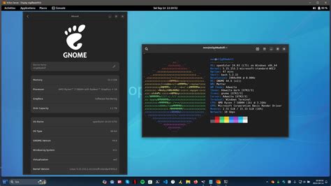 OpenEuler Install Gnome Desktop Via OpenEuler WSL Windows GWSL LINUX