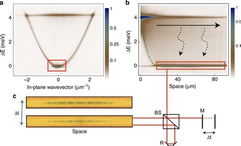 Measurements Of Spatio Temporal Coherence A Momentum Space Pl Showing Download Scientific