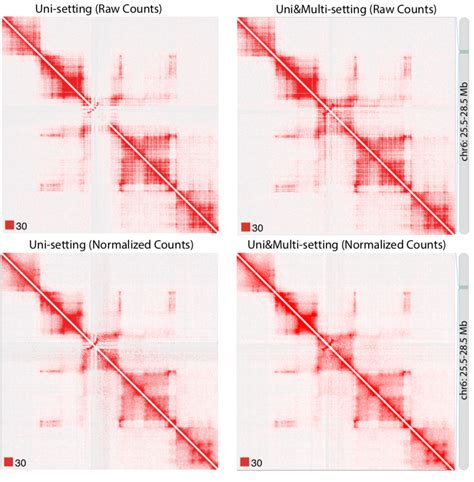 3d Chromatin Organization Ye Zheng