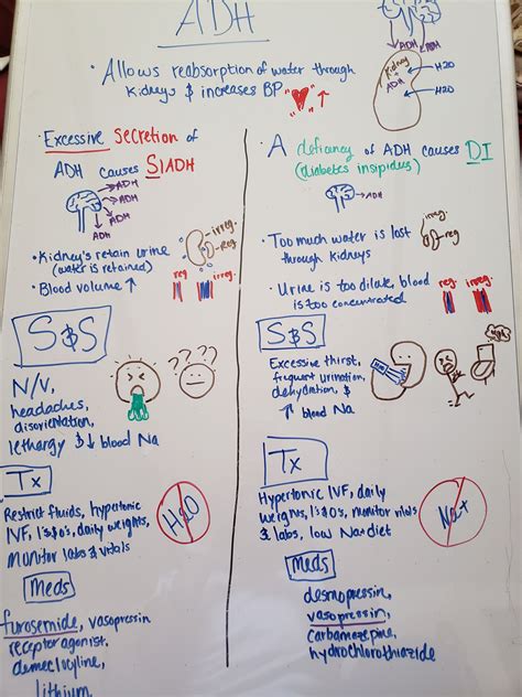 Discover 23 Siadh Syndrome And Nursing School Survival Ideas Nursing