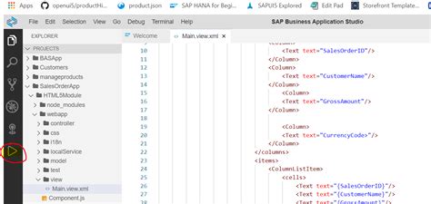 Developing Sap Ui5 App Using Sap Business Applicat Sap Community