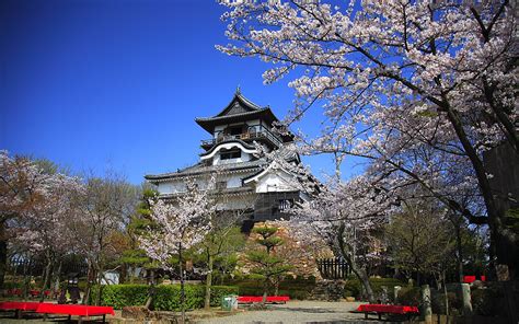 本丸庭園のお茶席と天守閣1280x800サイズ