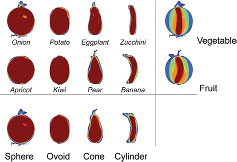 The Pixelwise Overlap Computed By Summing All Stimuli Images Per