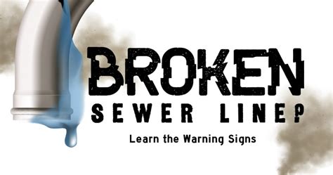Signs You May Have A Broken Sewer Line Affordable Service