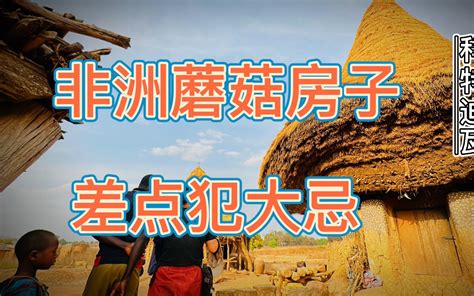 非洲蘑菇房子外表很好看没想到竟是巫毒祭台进去要芭比Q 李新咏195国行走中 李新咏195国行走中 哔哩哔哩视频