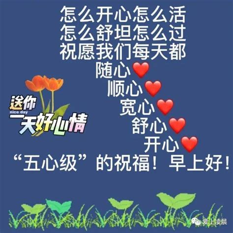 早上好问候朋友清凉舒畅 祝福声 开心 温茶和