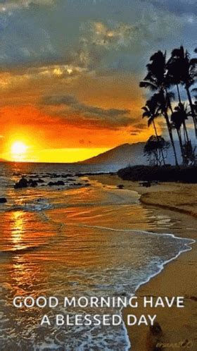 Beach Ocean  Beach Ocean Sunset Discover And Share S