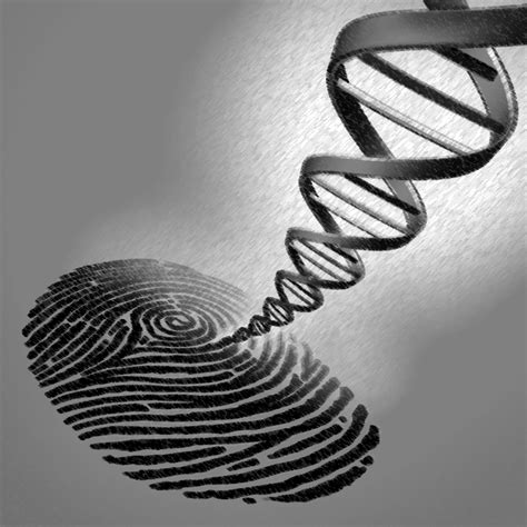 Curso De Especialização Em Perícias Forenses Segurança E Ciências