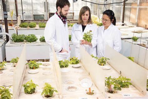 Translating Soybean Cyst Nematode Research