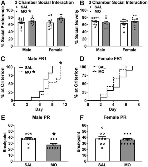 Perinatal Morphine Exposure Leads To Sex Dependent Executive Function