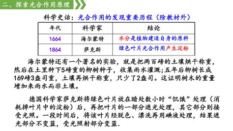5 4 2 光合作用的原理和应用 课件（45张ppt）2021 2022学年高一上学期生物人教版（2019）必修1 21世纪教育网