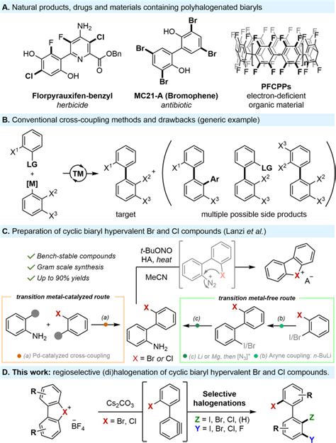 Easy Access To Polyhalogenated Biaryls Regioselective Dihalogenation