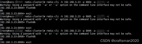 Redis50集群搭建两台服务器两台服务器搭建redis集群 Csdn博客