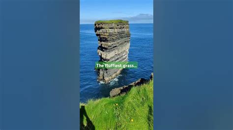 The Fluffiest Grass In Ireland 🍀🐑 Ireland Irelandtravelguide