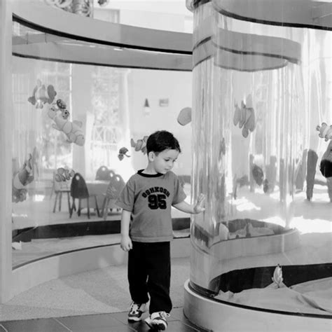 Pool Aquatic Feature Architects Engineers For Design Production