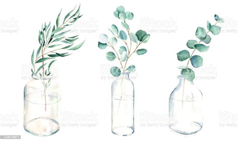 유칼립투스는 꽃병 항아리 병에 가지가 있습니다 흰색 배경에 격리된 수채화 손으로 그린 식물 삽화 인사말 카드 포스터 플로리스트 디자인을위한 에코 미니멀리즘 스타일 그리기에