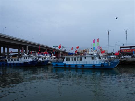 天津北塘码头 出海打鱼渔船 哔哩哔哩