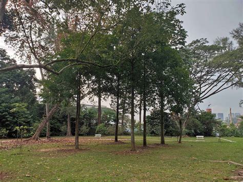 Kent Ridge Park Pond Car Park History Entrance Walk Map Singapore