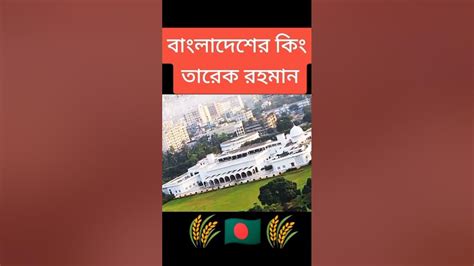 King Tarek Jiya Short Shortvideo Subscribe Share Bnp Bnp News