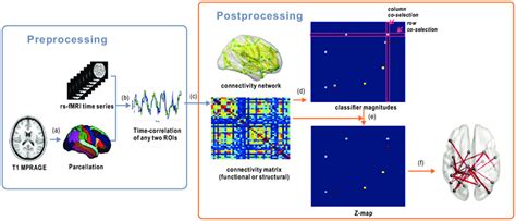Flow Chart Of The Preprocessing Of Fmri And Dmri Data Left Blue Box Download Scientific