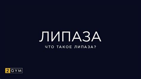 Липаза