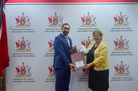 Ministry Of Energy And Energy Industries Minister Young Meets With
