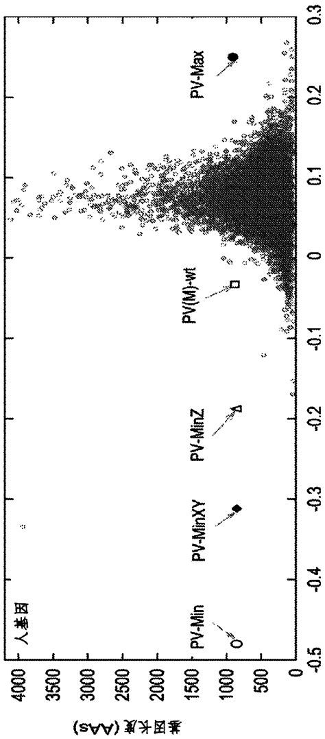 Recombinant Virus With Codon Pair Deoptimized Region And Uses Thereof For The Treatment Of