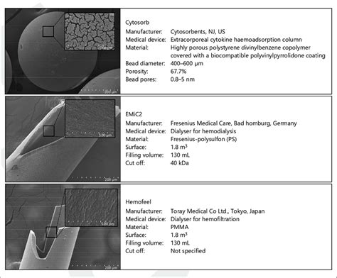 Scanning Electron Microscope Images And Manufacturers Data Of The
