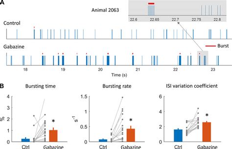 Gabaergic Inhibition Prevents The Natural Bursting Behavior Of Neurons Download Scientific