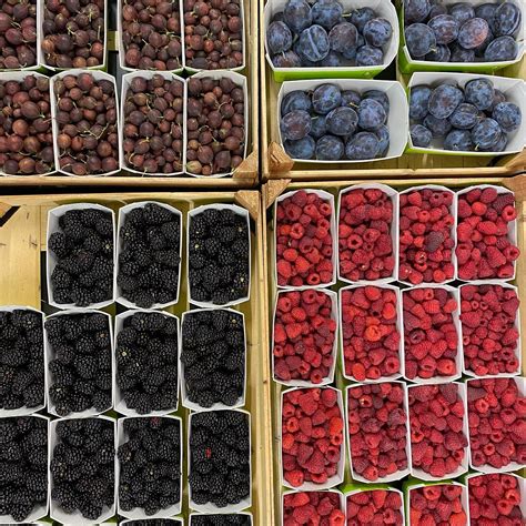 RÄss Wildbeeren Benken Qué Saber Antes De Ir 2026