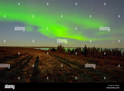 Aurora Borealis Over Ennadai Lake Arctic Haven Lodge Nunavut Territory Canada Stock Photo Alamy