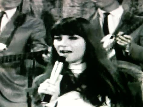 The Horn Section Film Review Wild On The Beach 1965