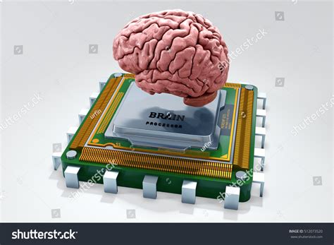 Human Brain Computer Processor Isolated On Stock Illustration 512073520 Shutterstock