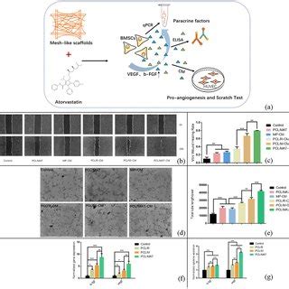 Ac SEM Images Of PCL R PCL M And PCL MAT Respectively SEM Download Scientific Diagram