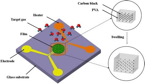 Schematic Structure Of The Gas Sensor Download Scientific Diagram