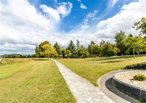 낮에는 푸른 하늘 아래 나무가 있고 흰 구름이 있는 푸른 잔디밭 사진 Unsplash의 무료 공원 이미지