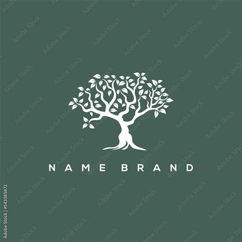 Tree And Roots Logo Design Vector Isolated Abstract Mangrove Tree Logo Design Stock Vector