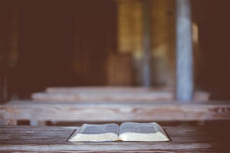토플 라이팅toefl Writing 요약문답안의 구조 및 템플릿 유형별통합형 토론형 기본 표현 네이버 블로그