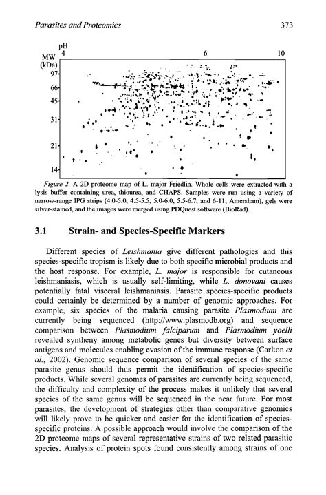Proteomics Silver Staining Big Chemical Encyclopedia