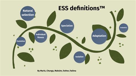 Ess Definitions By Marie Holá On Prezi