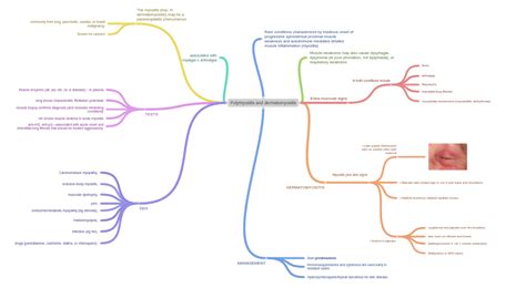 Polymyositis And Dermatomyositis Ddx Pmr Endocrine Metabolic Myopathy…
