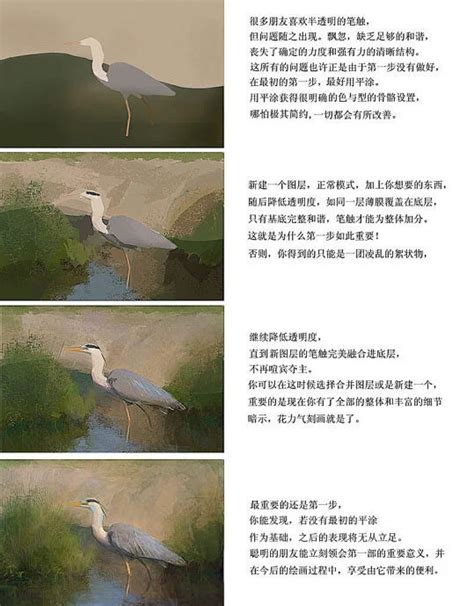 林冉教程 花瓣网