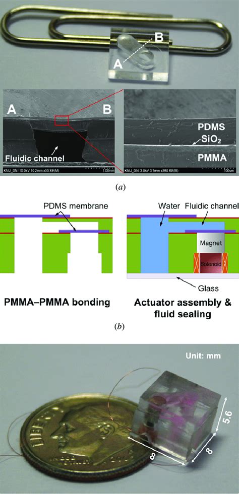 a photograph of pmma structure bonded with pdms membrane and