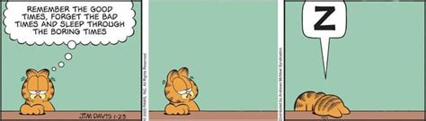 Bro Was Eepy Rgarfieldminusjon