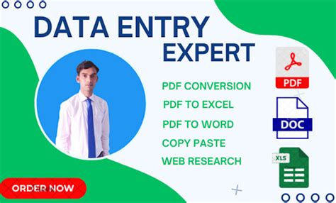 do excel data entry virtual assistant file conversion by mak josim