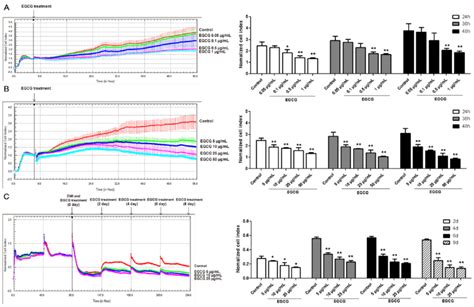 Effects Of − Epigallocatechin 3 Gallate Egcg On The Proliferation