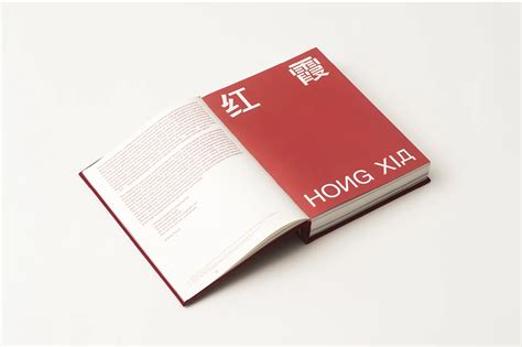 【書设计】最直观的设计susu苏笑笑 站酷zcool