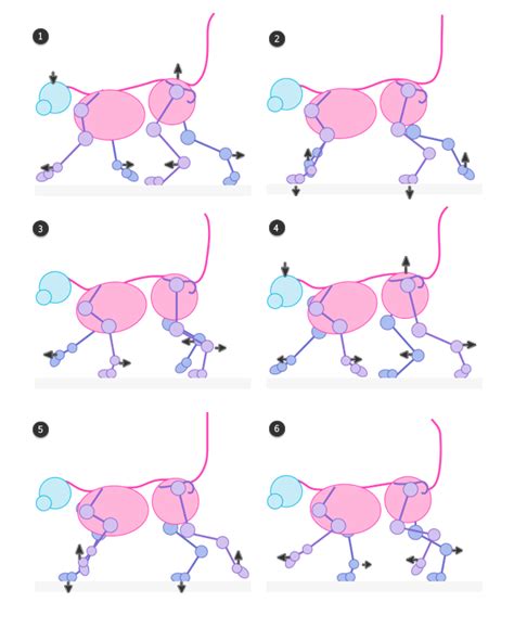 Cat Walk Cycle Front Frames